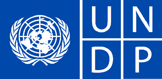 UNDP is hiring: Consultancy on Political and Public Participation of ...