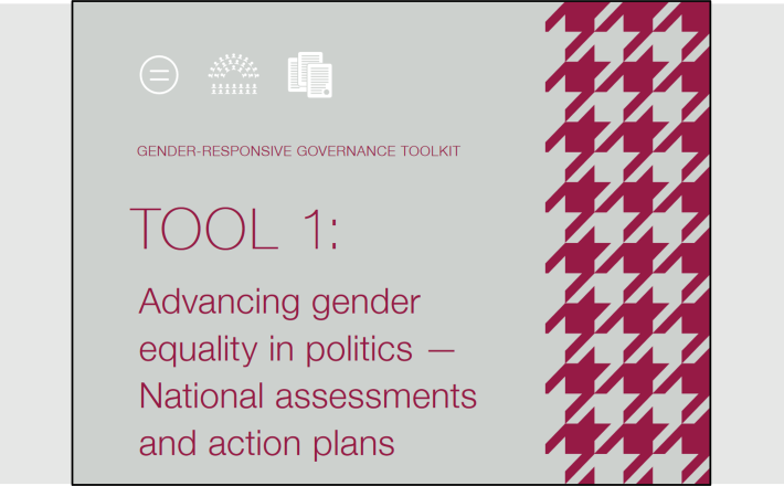 Advancing gender equality in politics — National assessments and action ...