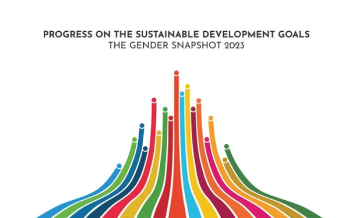 Progress on the Sustainable Development Goals: The gender snapshot 2023 ...