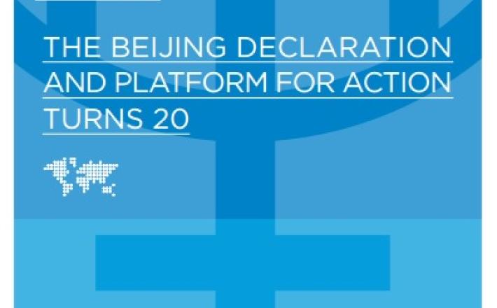Summary Report: The Beijing Declaration and Platform for Action turns ...