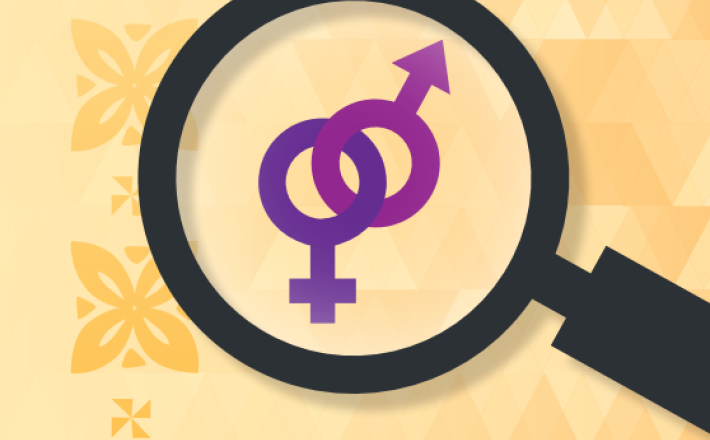 Scrutinising Legislation from a Gender Perspective: A Practical Toolkit ...