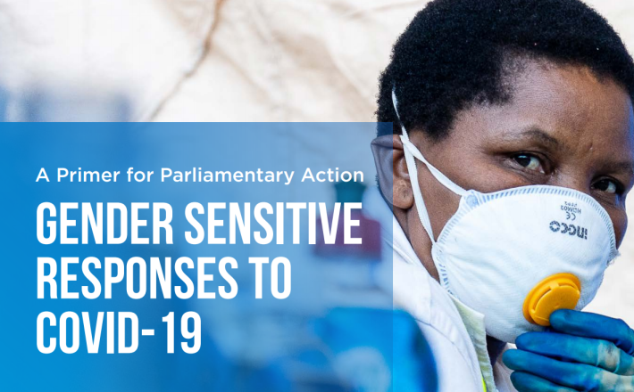 A Primer for Parliamentary Action: Gender-sensitive Responses to COVID ...